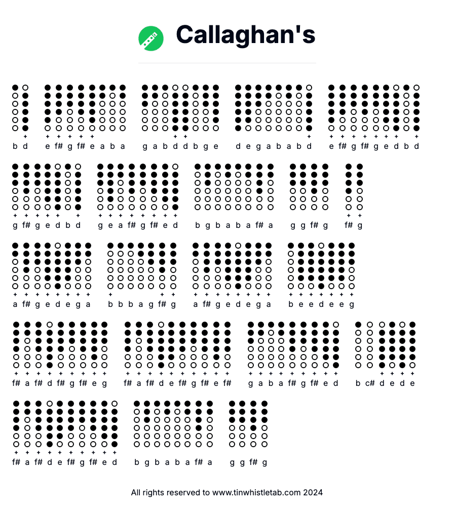 Callaghan's - Tin Whistle Tab & Backing Track Readable and Easy to play