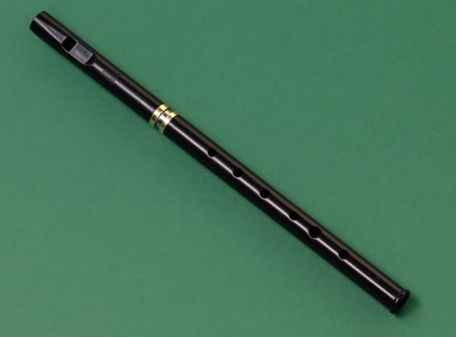 Best Tin Whistle Buying Guide (Beginner to Pro)